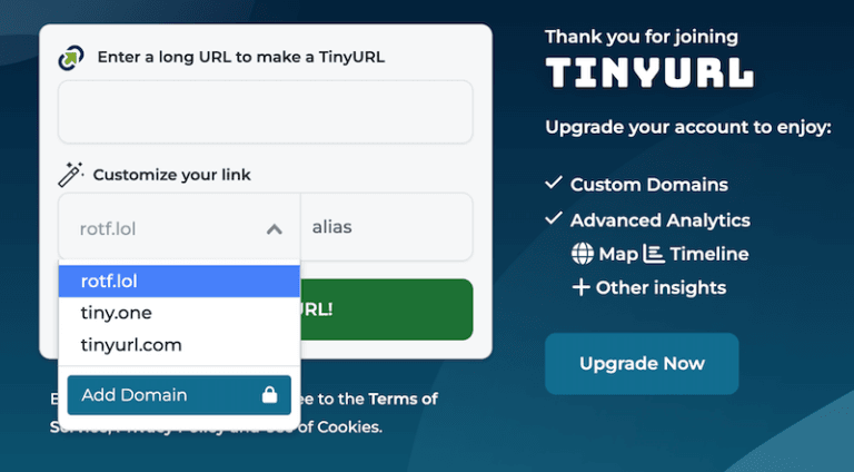 Bitly vs TinyURL vs PrettyLinks (Everything You Need to Know)